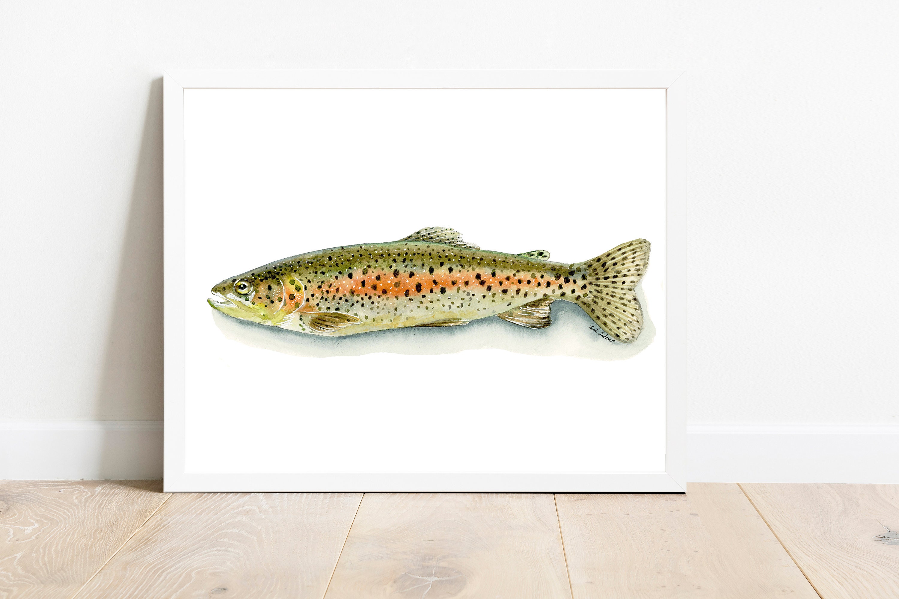 Rainbow Trout Print Watercolor Painting, Fly Fishing Artwork, Fishing ...