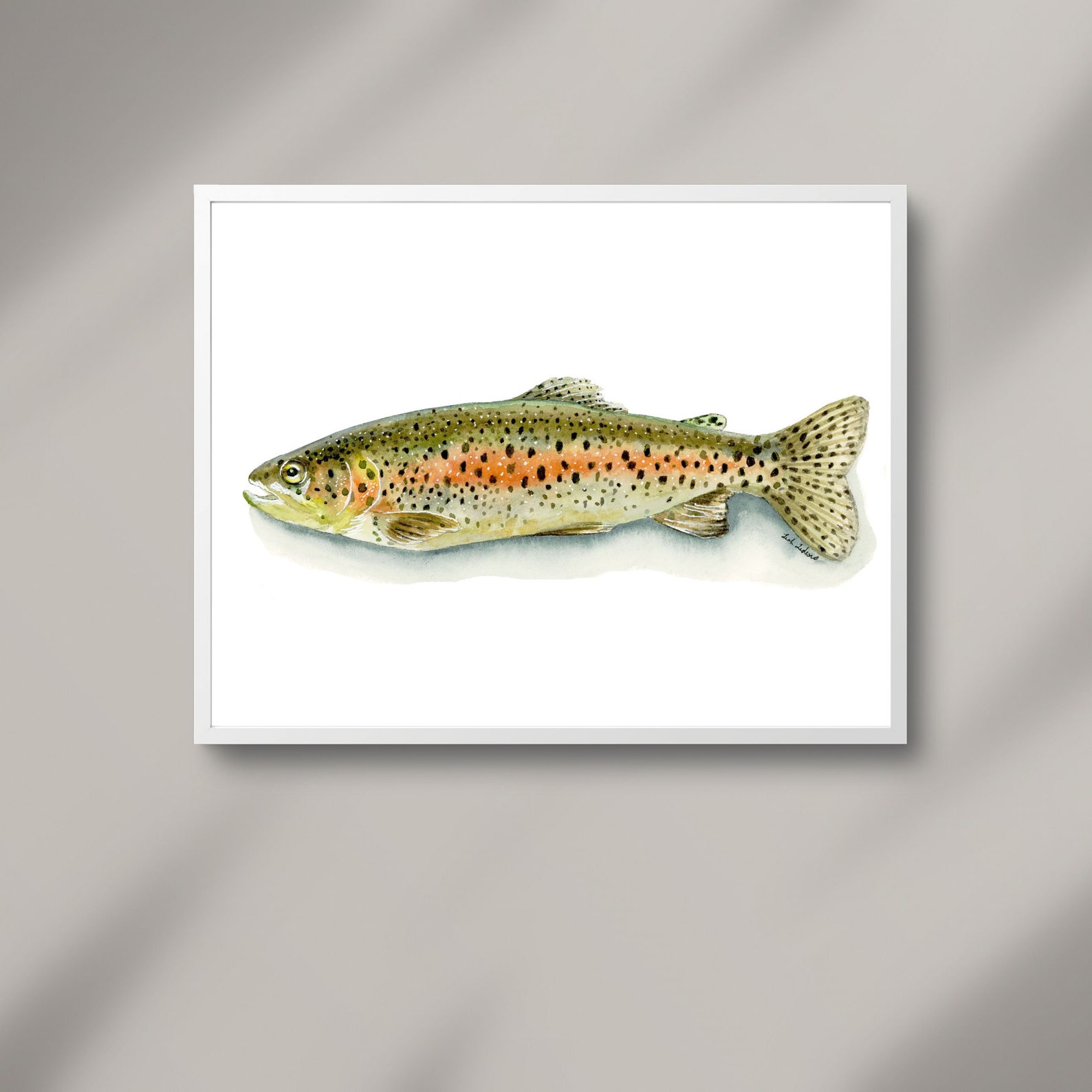 Rainbow Trout Print Watercolor Painting Fly Fishing Artwork - Etsy