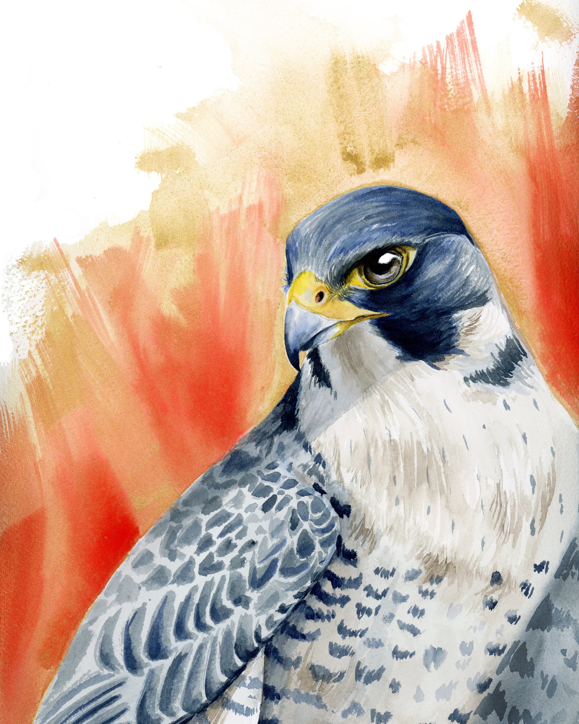 Falcon Painting