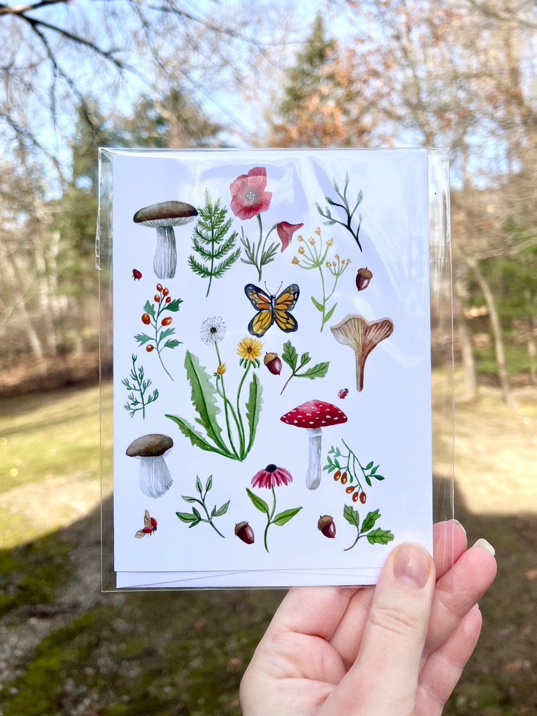 Foraging Illustration Greeting Card, Mushroom Illustration, Blank Card ...