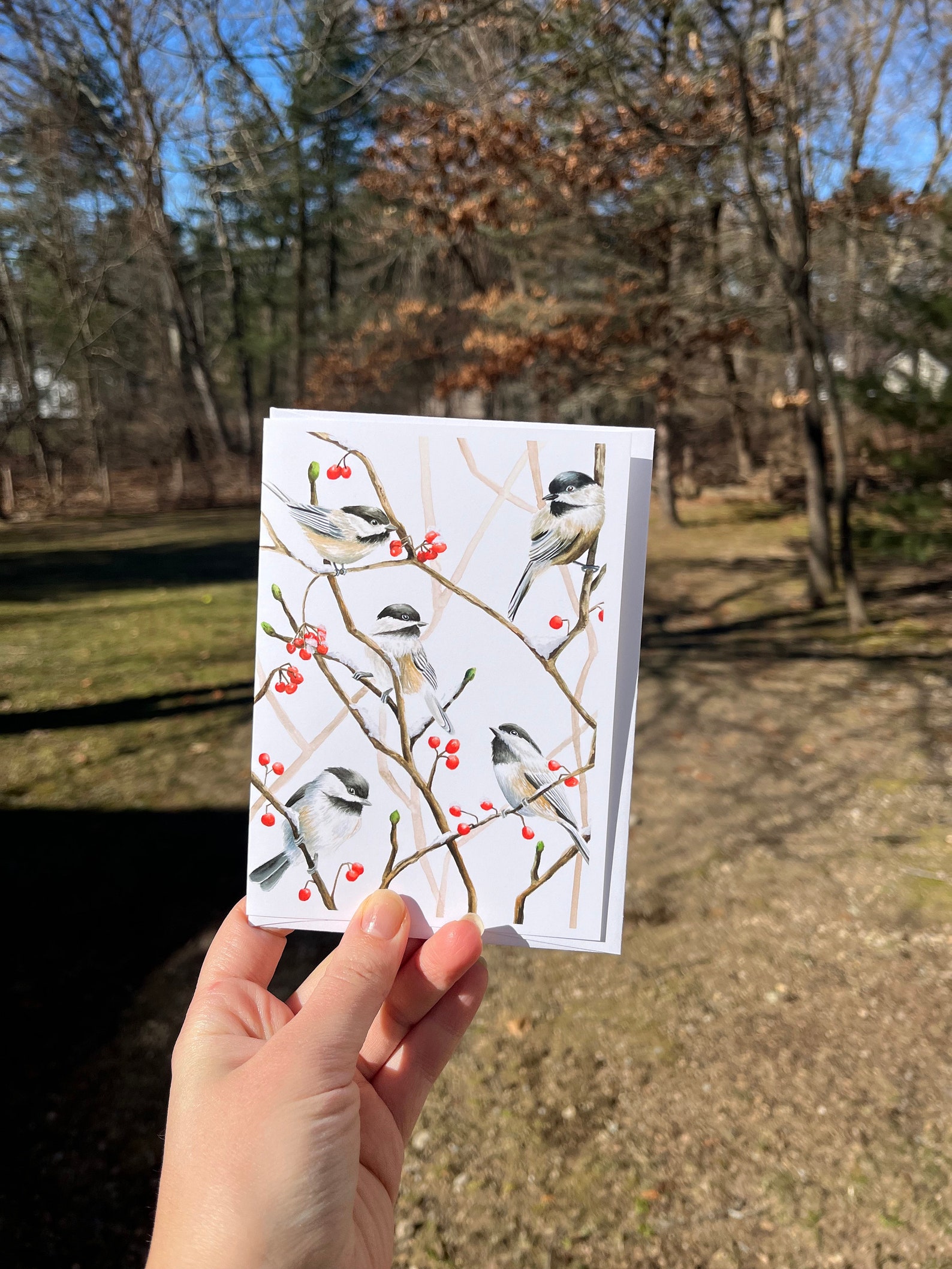 Chickadee Greeting Card, Bird Illustration, Blank Card and Stationary ...