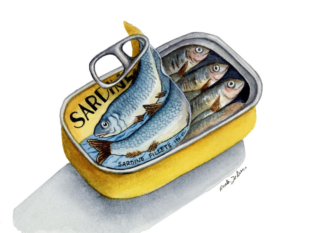 Tinned Fish Watercolor Print, Sardine Can Print, Food Illustration - Etsy