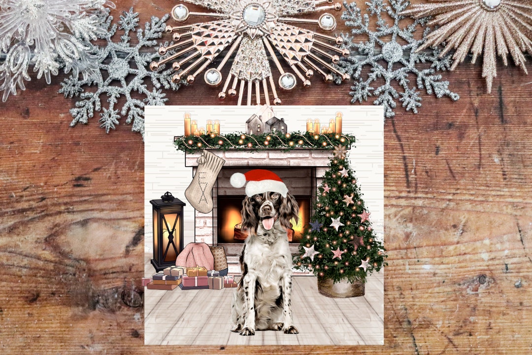 Springer Spaniel Christmas Card. Cute Springer in Santa Hat in Festive ...