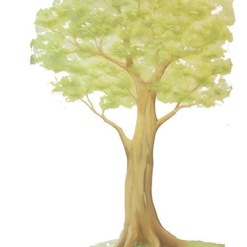 Large Chalkboard Tree Set Vinyl Decal Wall Art - Etsy