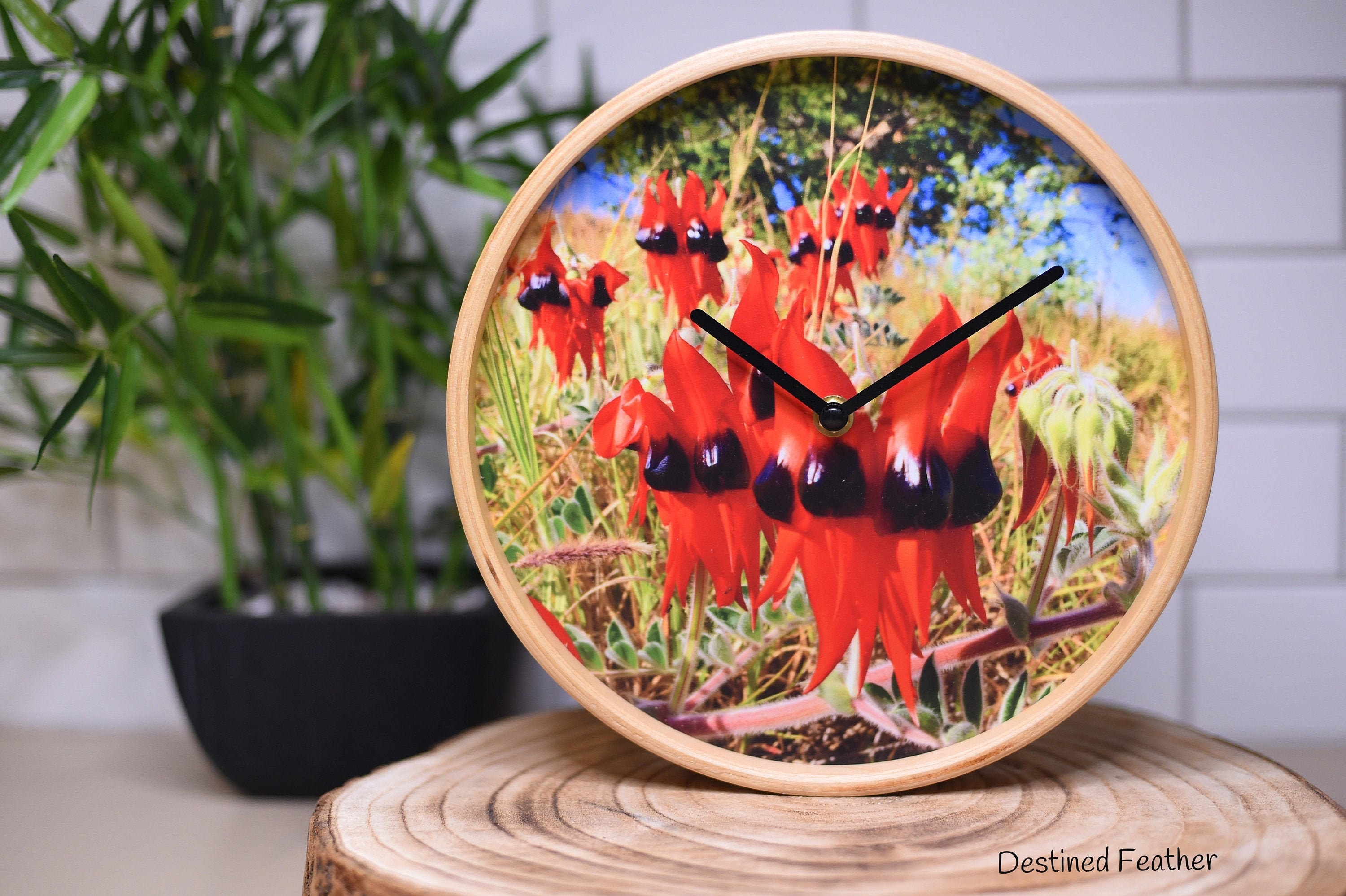 Pilbara Wall Clock, Australian Landscape Clock, Wildflower Clock ...