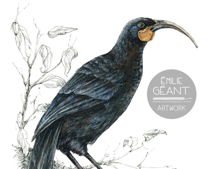 Original artwork and accessories by EmilieGeantArtwork on Etsy