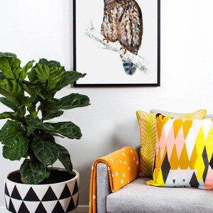 Ruru Morepork New Zealand Bird - Large Print, From Original Painting - Etsy