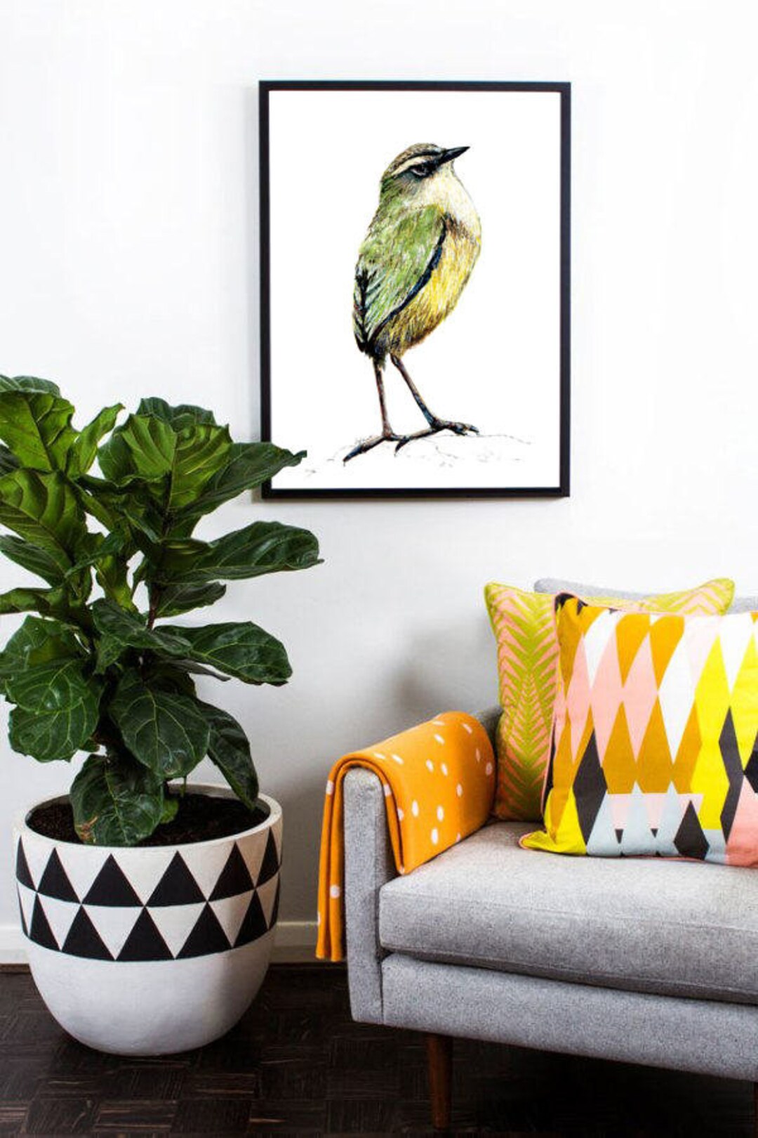 New Zealand Native Bird Tuke or Rock Wren Illustrated Large Print From ...