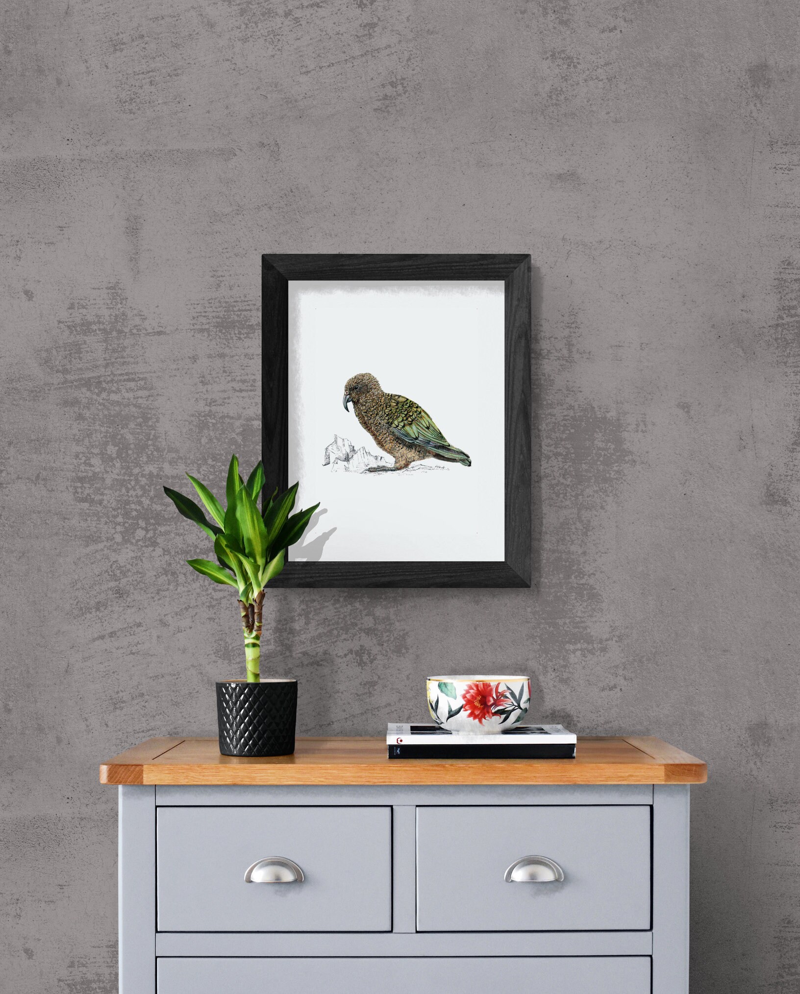 Kea Print Native Bird of New Zealand Painting - Etsy
