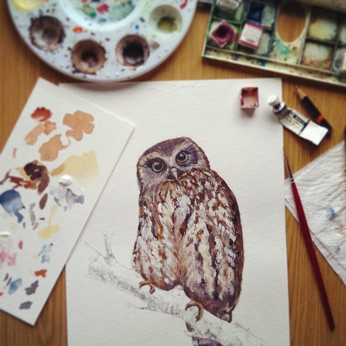 Ruru Morepork New Zealand Bird Large Print, From Original Painting - Etsy