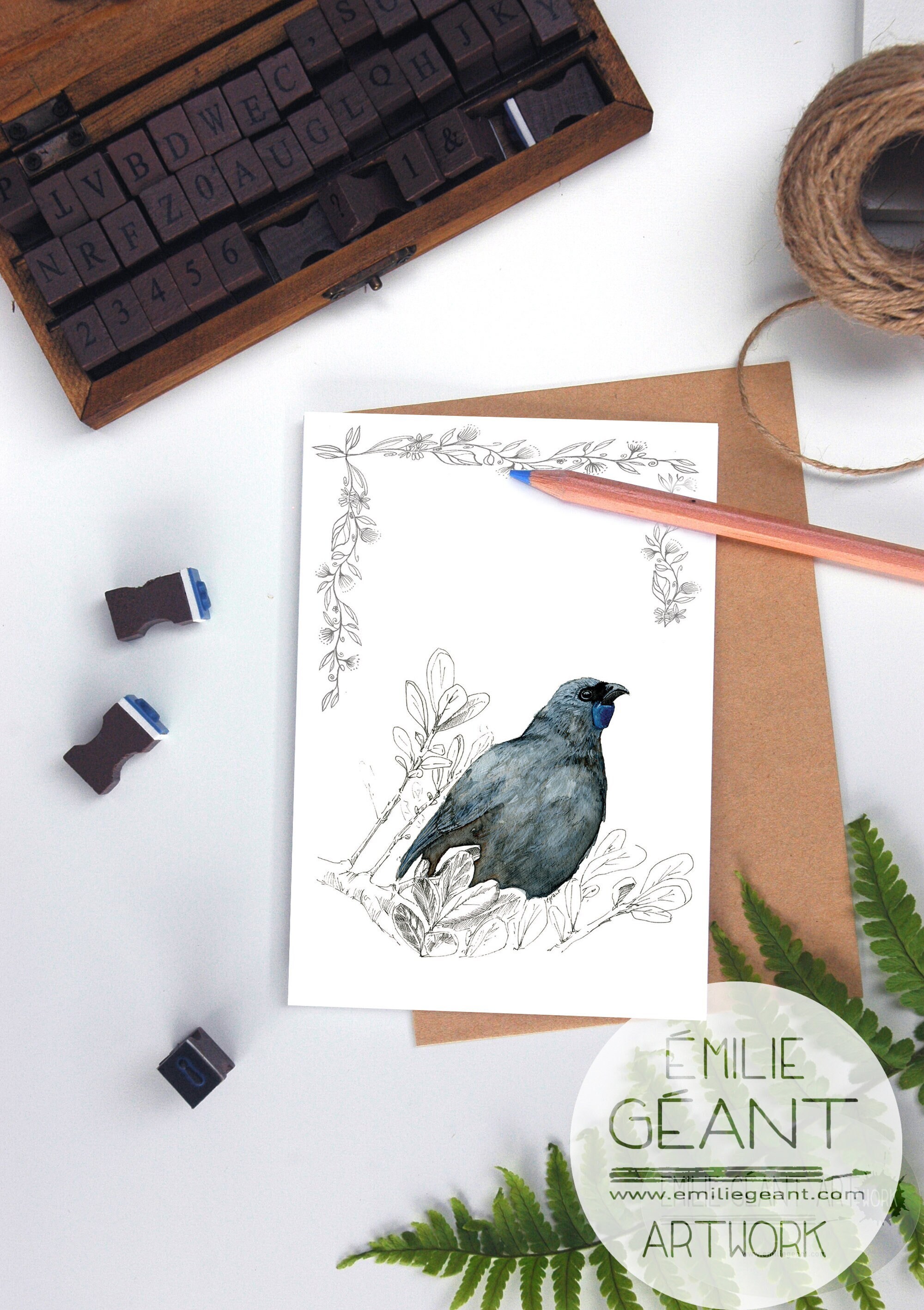Kokako Card New Zealand Native Birds Greeting Card - Etsy