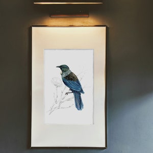 Tui Print, Native Bird of New Zealand Painting - Etsy