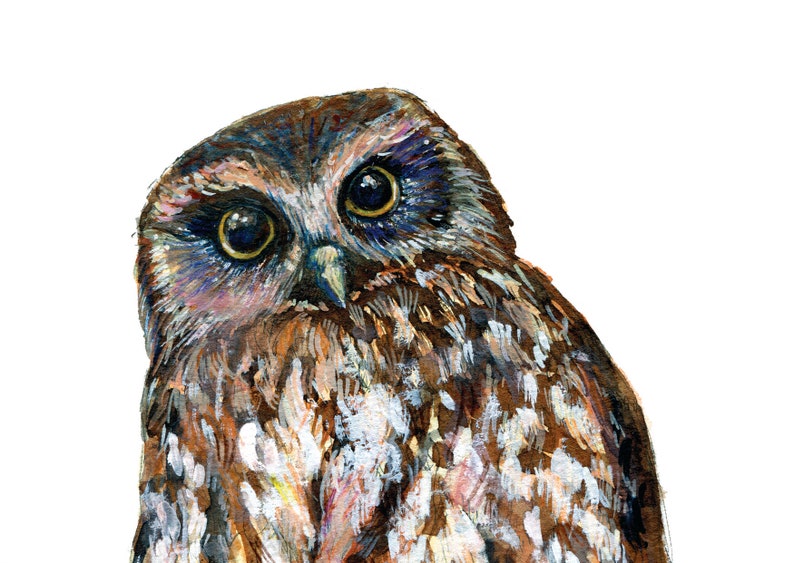 Ruru Morepork New Zealand Bird - Large Print, From Original Painting - Etsy