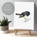 Miromiro Tomtit Bird of New Zealand Print - Etsy New Zealand