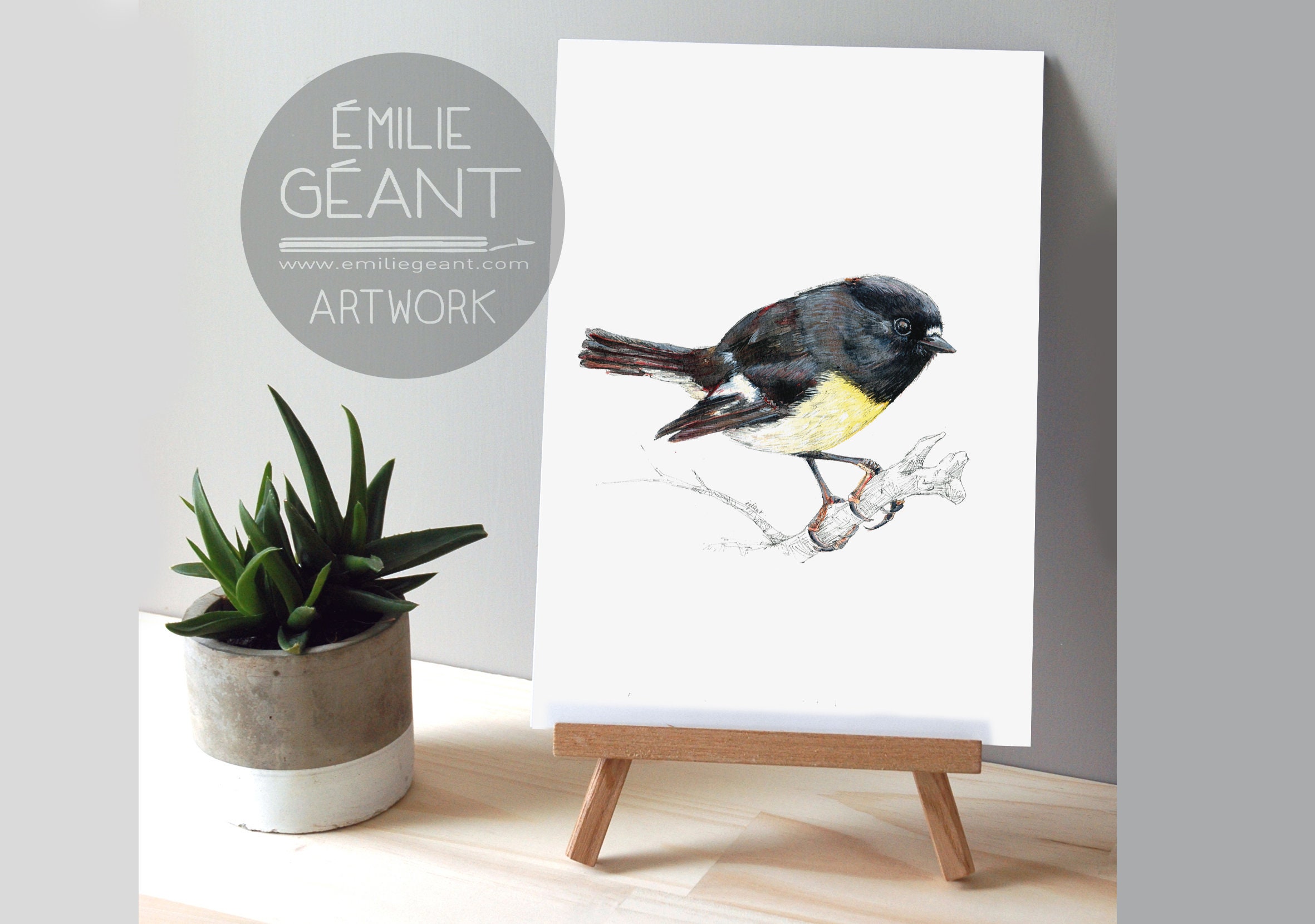 Miromiro Tomtit Bird of New Zealand Print - Etsy New Zealand