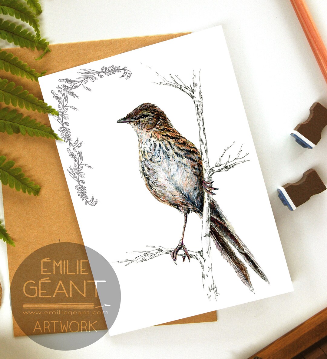 Fern Bird Card - New Zealand Matata Native Birds Greeting Card - Etsy
