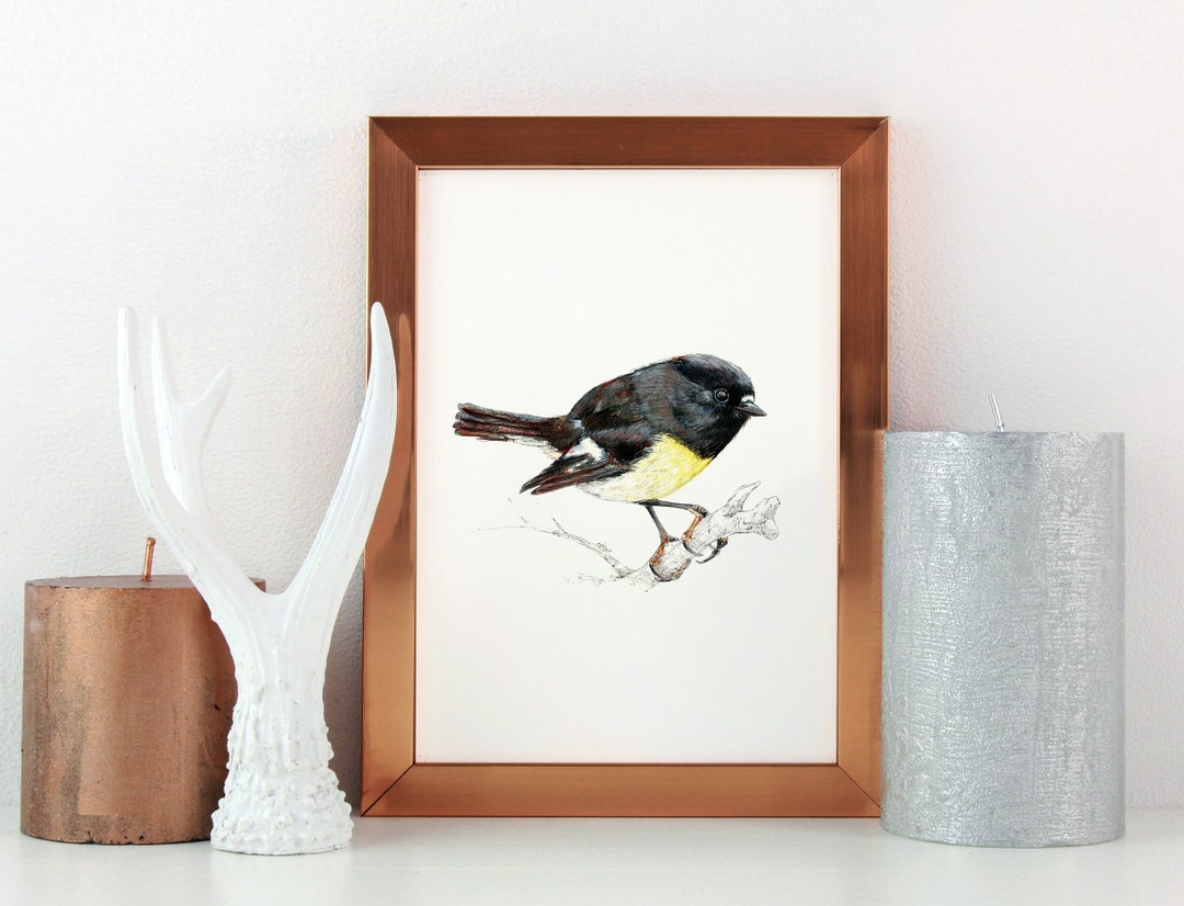 Miromiro Tomtit Bird of New Zealand Print - Etsy