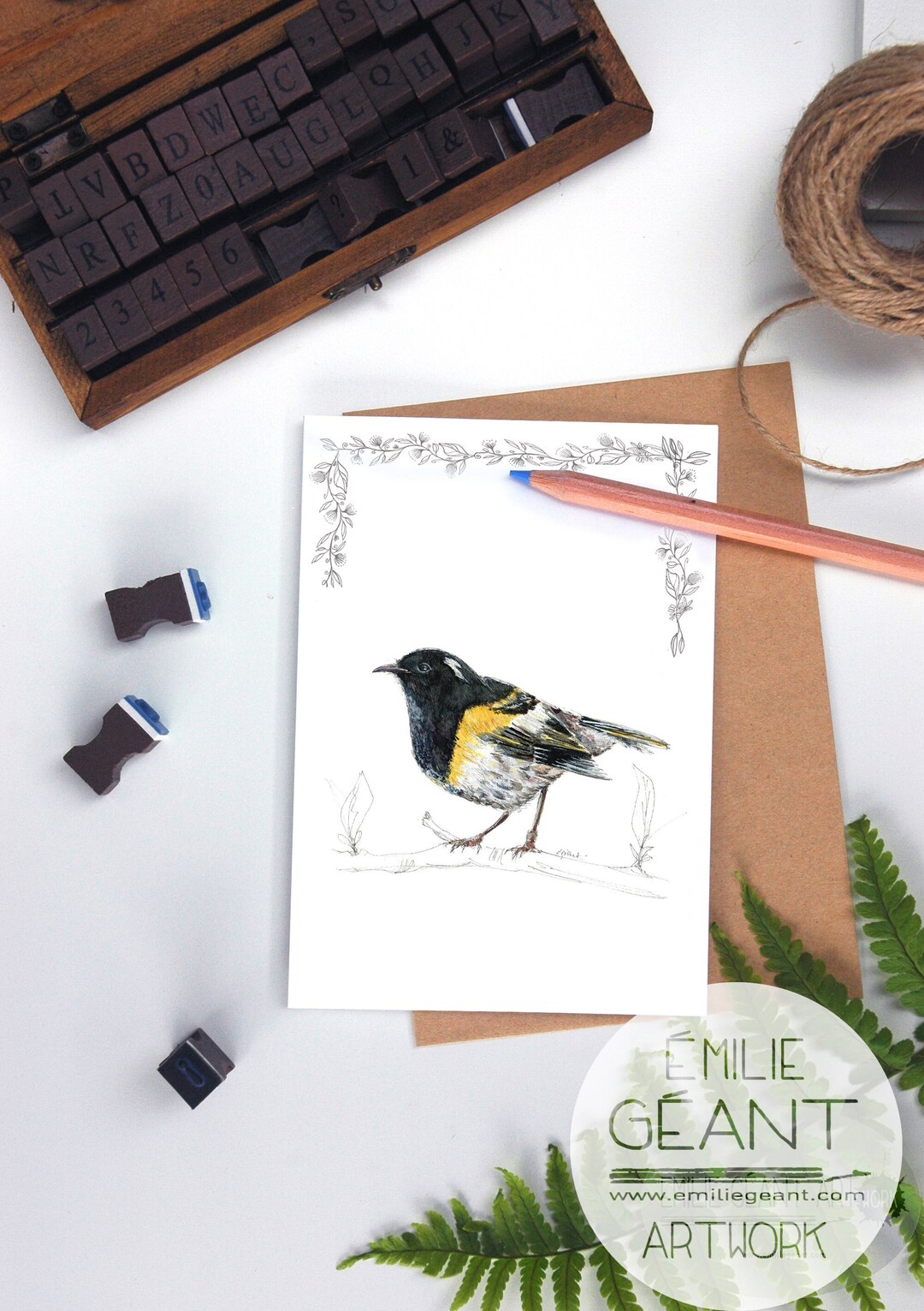 Stitchbird Card - Hihi New Zealand Native Birds Greeting Card - Etsy