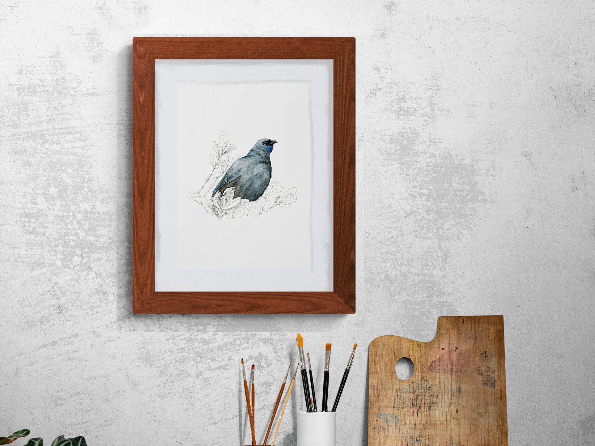 New Zealand Native Bird Kokako Print - Etsy