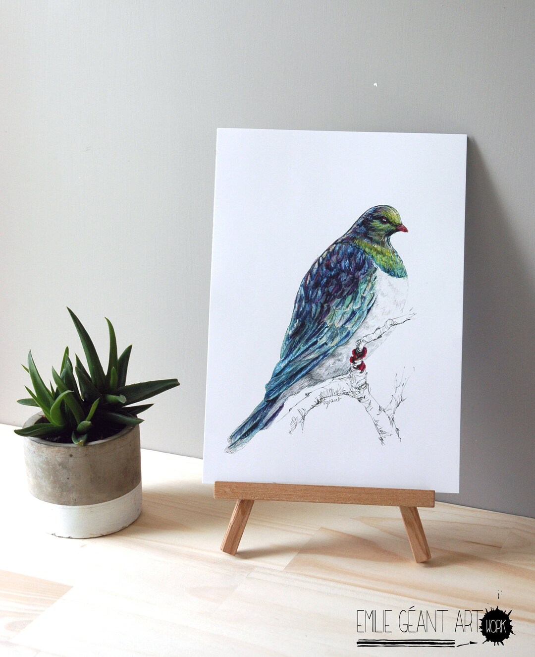 Kereru Bird, New Zealand Native Wood Pigeon Illustration, Print - Etsy ...