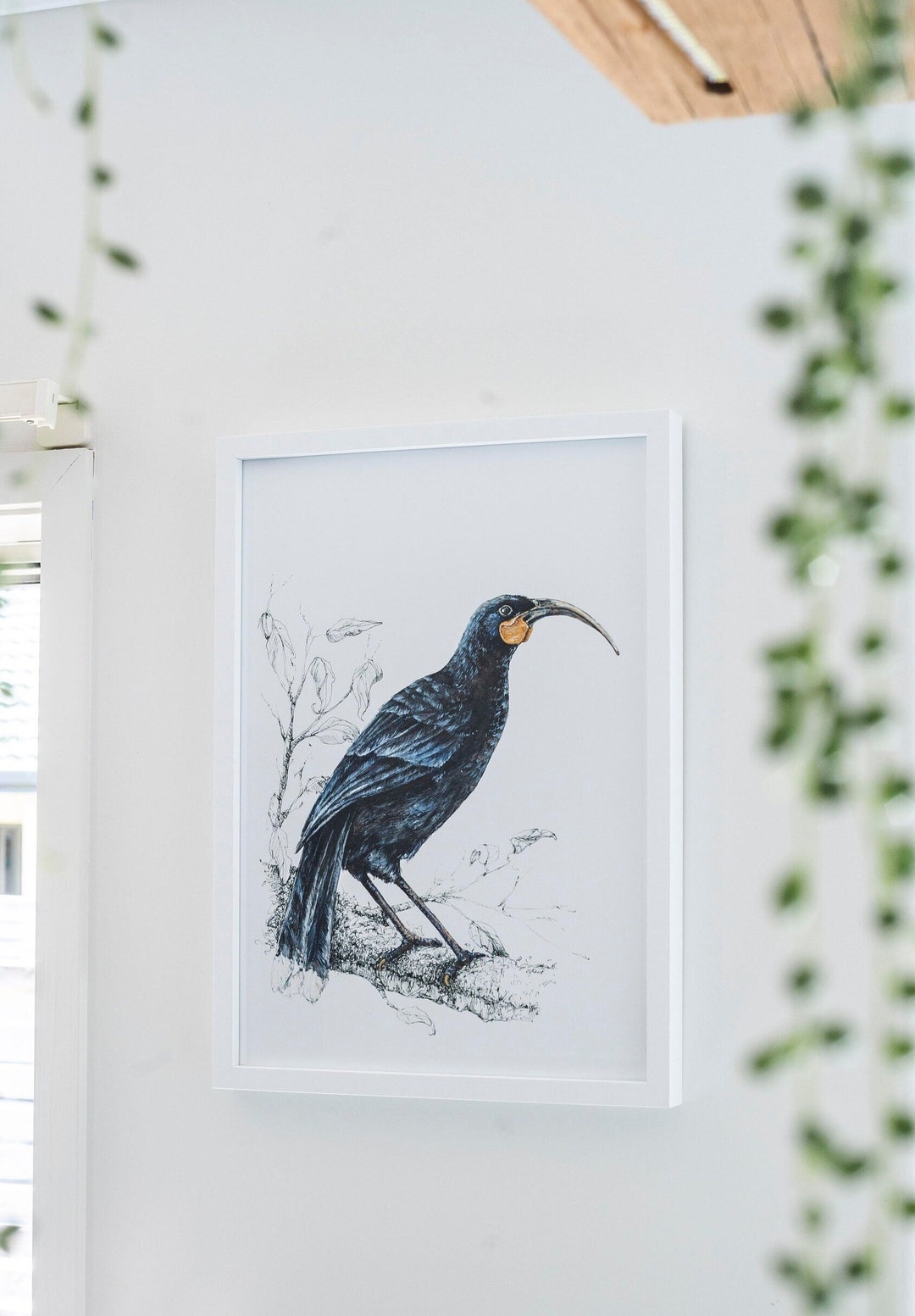 Huia New Zealand Native Bird Print - Etsy New Zealand