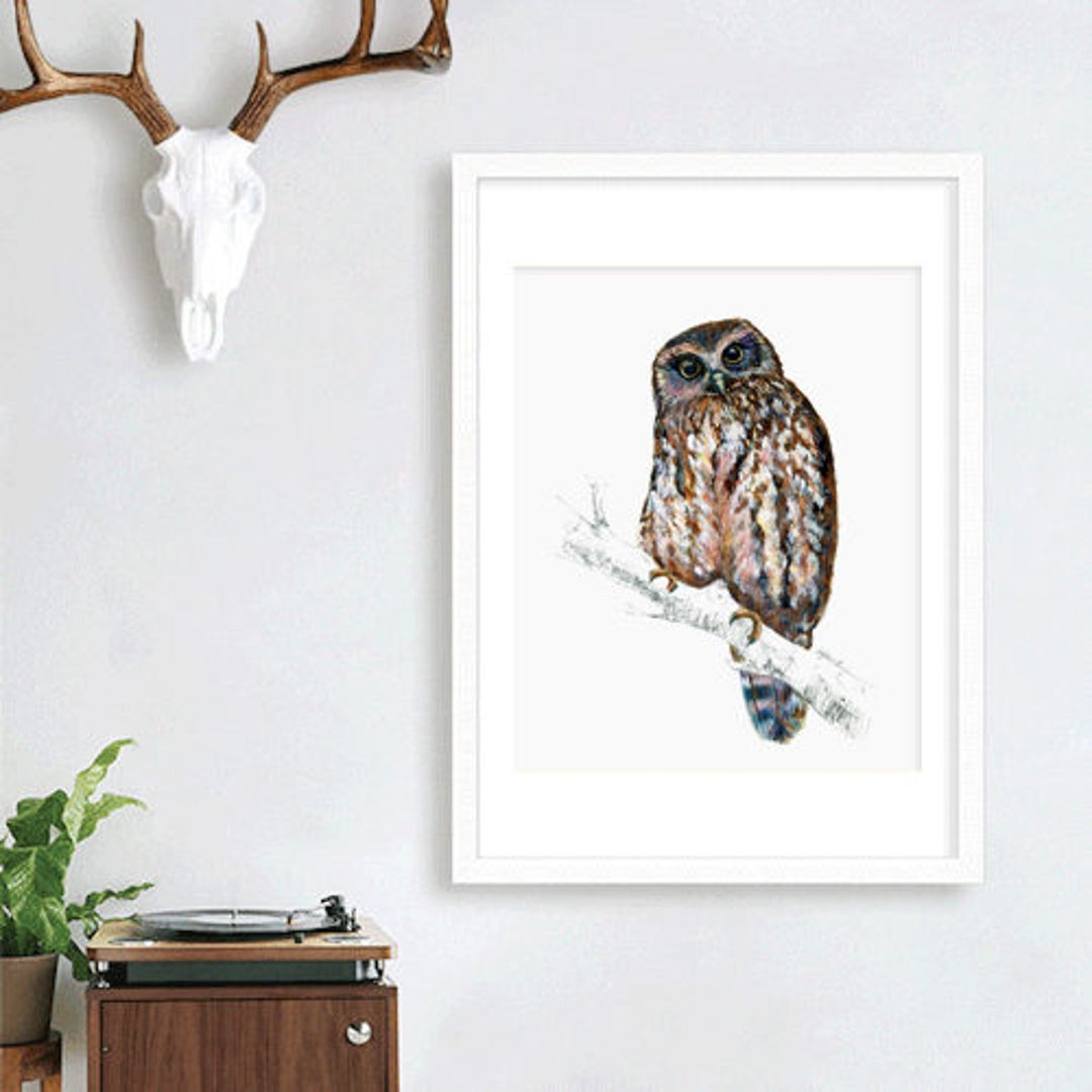 Ruru Morepork New Zealand Bird Large Print, From Original Painting - Etsy