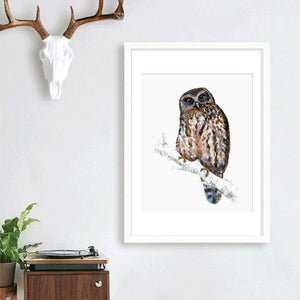 Ruru Morepork New Zealand Bird - Large Print, From Original Painting - Etsy