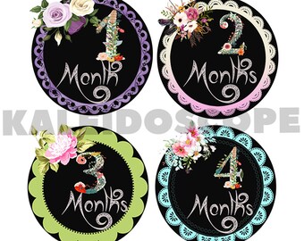 PRINTABLE DIY Monthly Baby Stickers or Iron On Transfers