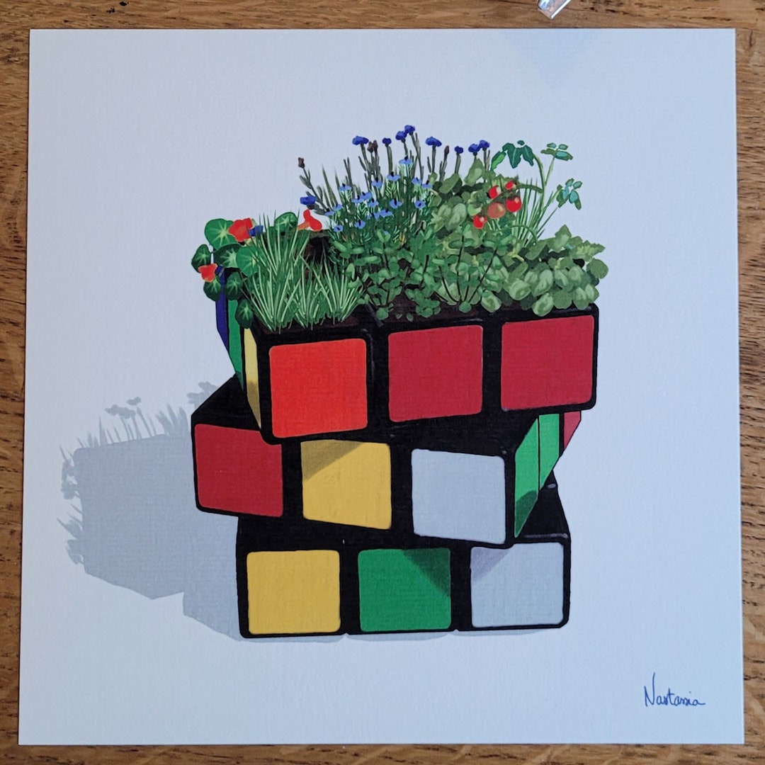 Rubik's Cube Planter Large Print - Etsy