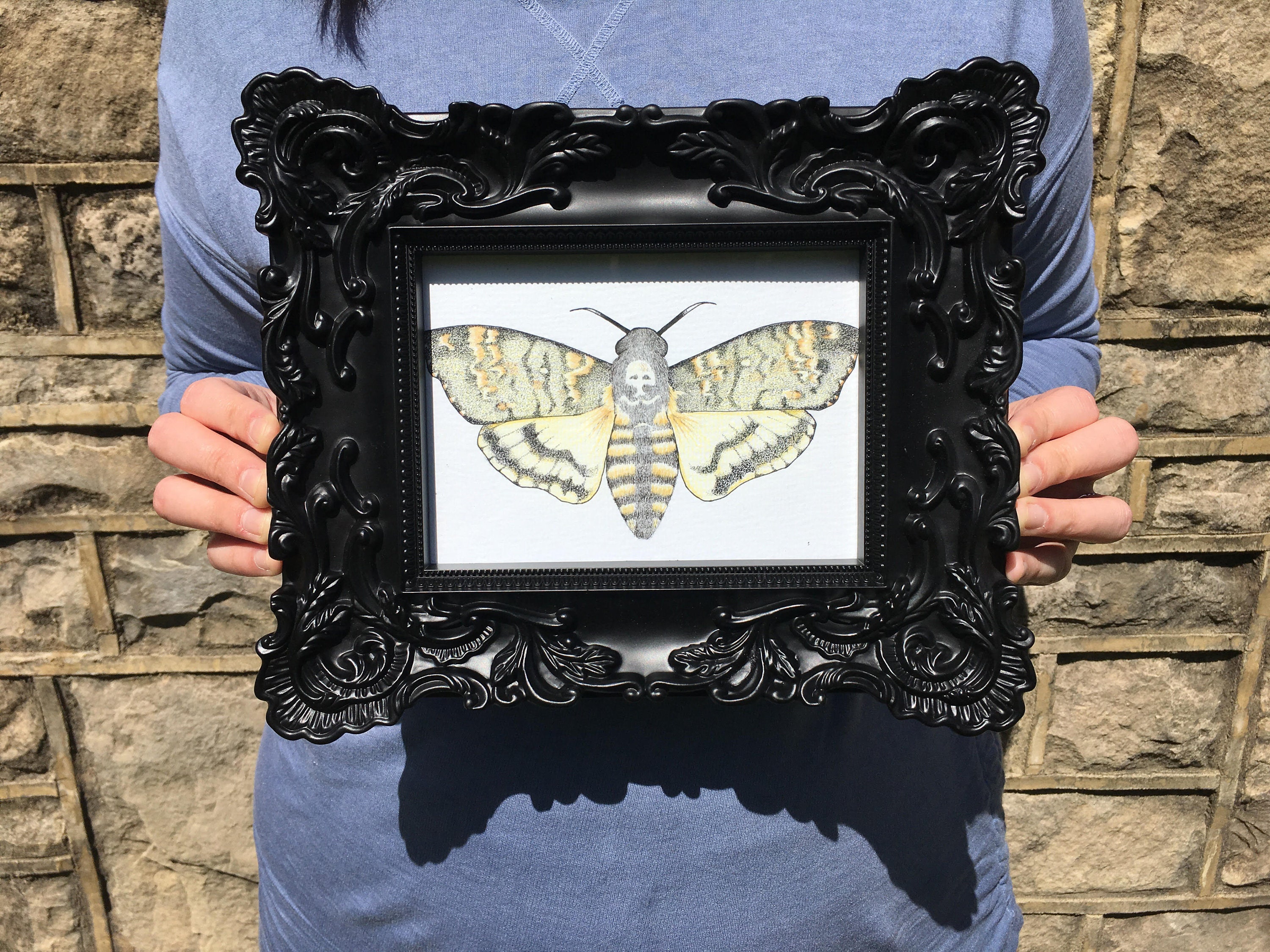 Original Death Moth illustration watercolor art | Etsy