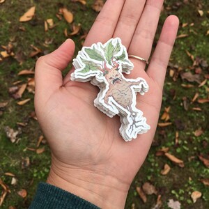 Mandrake Sticker Art Illustration - Etsy