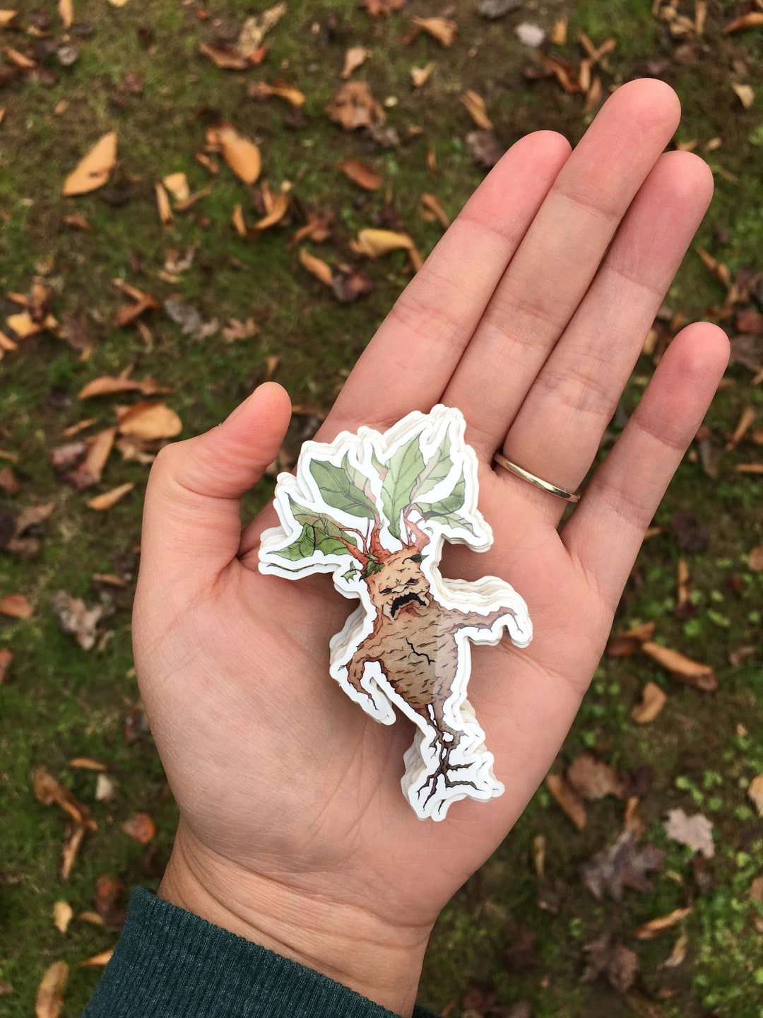 Mandrake Sticker Art Illustration - Etsy
