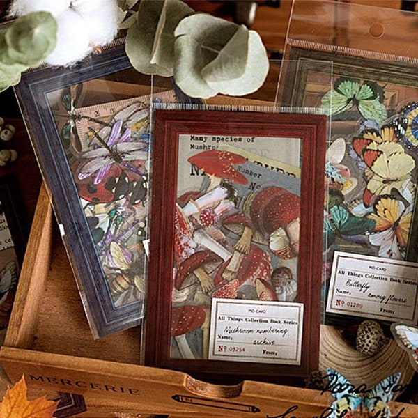 Botany Specimen Stickers - Etsy