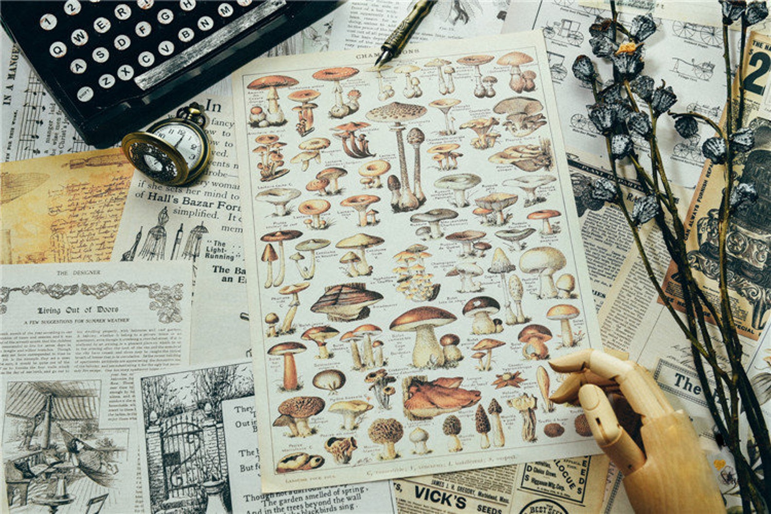 Old Book Page Prints Natural Science Illustration Paper Pack | Etsy