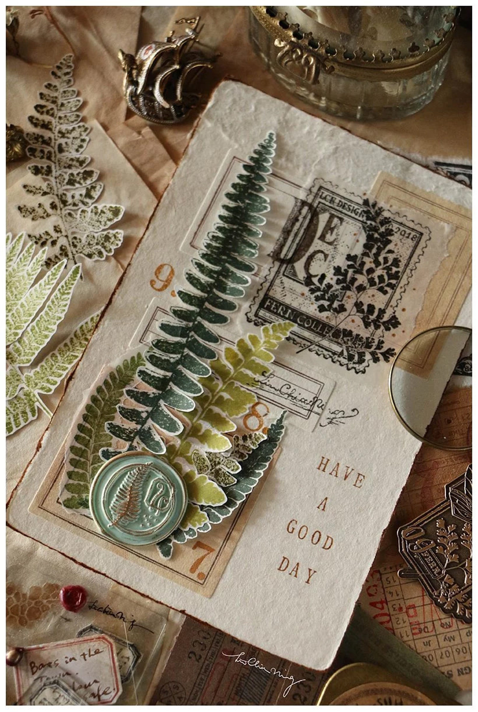 Specimen Labels Box Set 2 Gummed Label Lin Chia Ning | Etsy