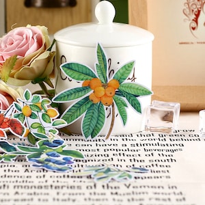 Wild Berries Stickers Pack, Botanical, Plant Sticker Pack, Blueberry ...