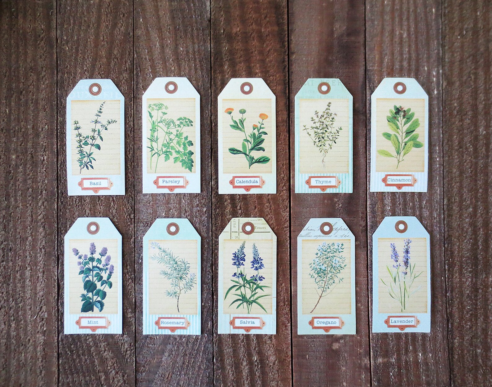 Botanical Tags Stickers Pack, Vintage Plants and Herbs Illustration ...