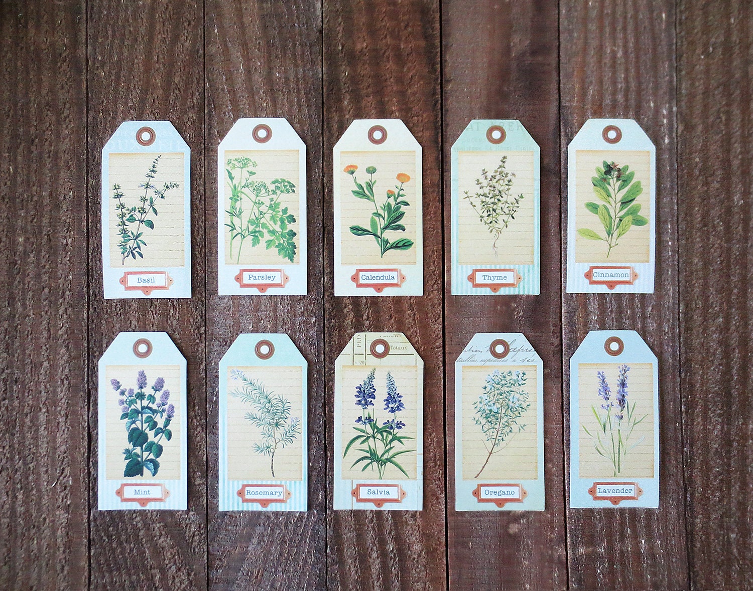 Botanical Tags Stickers Pack, Vintage Plants and Herbs Illustration ...