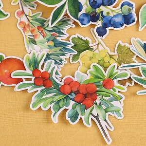 Wild Berries Stickers Pack, Botanical, Plant Sticker Pack, Blueberry ...