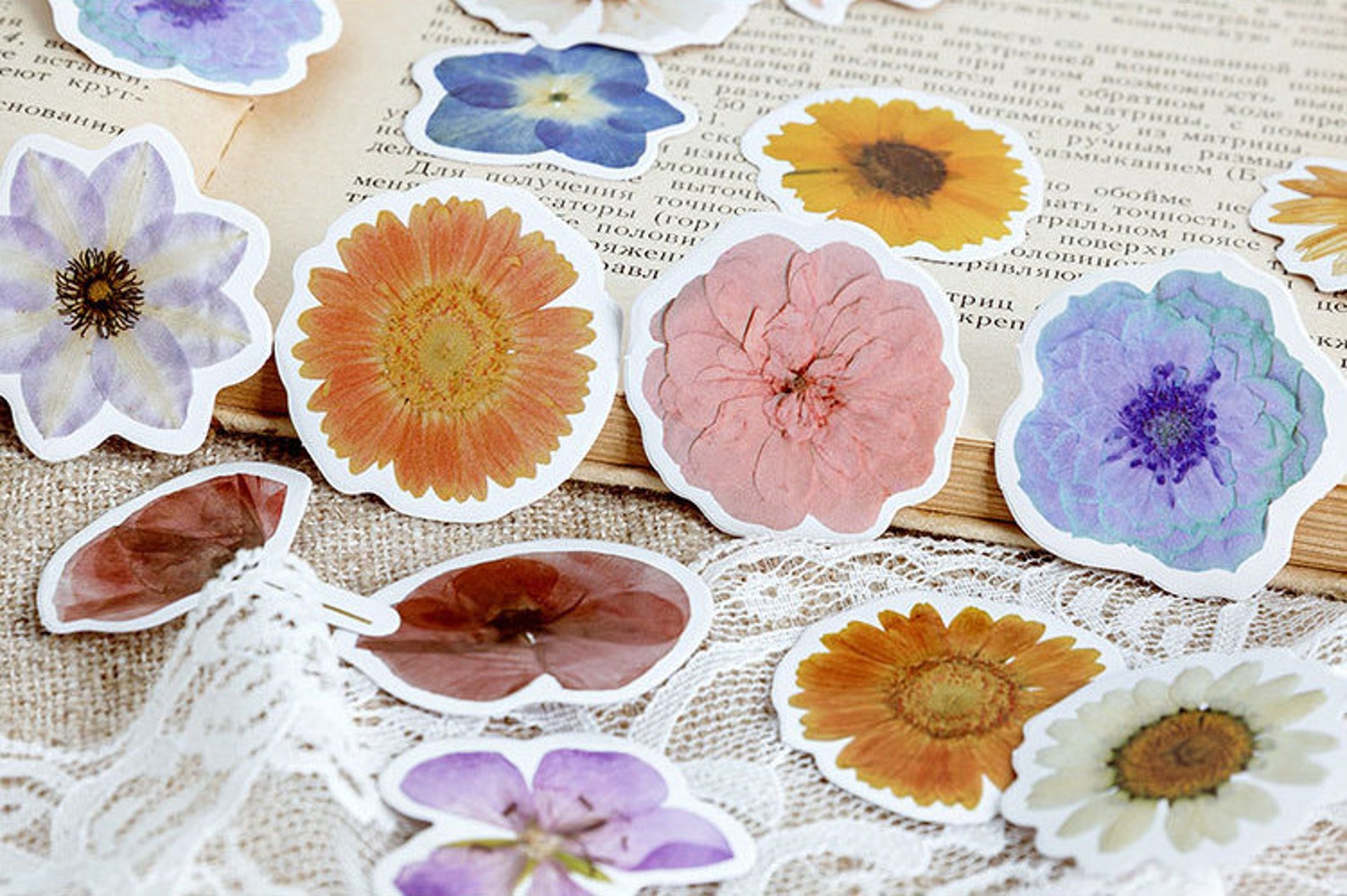 Pressed Flowers Stickers Set Dried Flowers Stickers Pack | Etsy