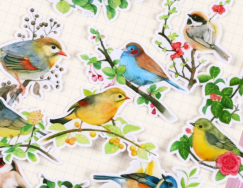 Birds Sticker Pack, Songbird Bird Stickers, Ephemera, Animals Die-cut ...