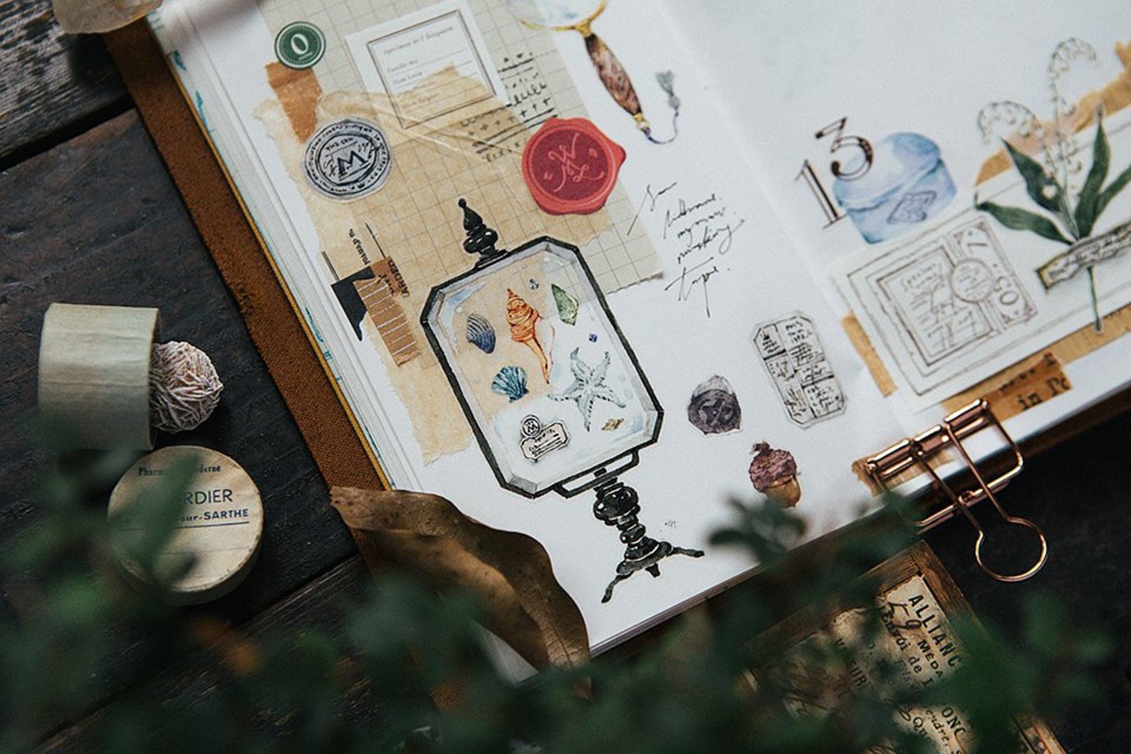 The Collections of Museum Washi Tape, Planetarium Washi Roll, Seashells ...