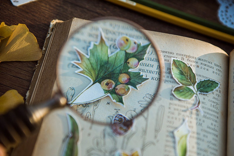 Doolittle's Garden Stickers Set Judith Botanical Sticker | Etsy