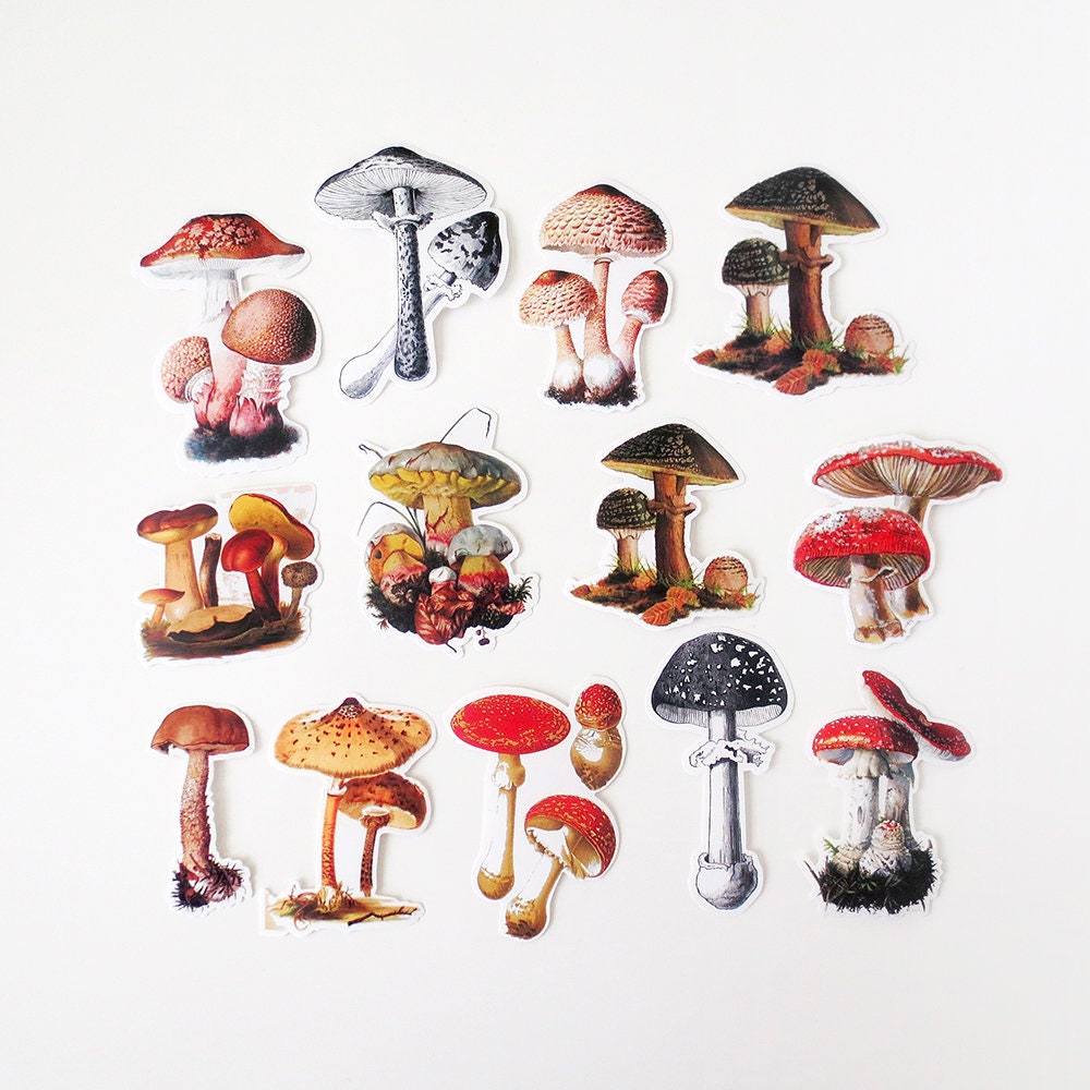 Paper & Party Supplies Planner Sticker Sticker Sheet Mushroom spirits ...
