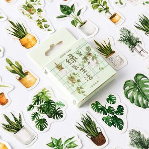 House Plants Sticker Pack, Ivy, Aloe, Swiss Cheese Plant Stickers ...