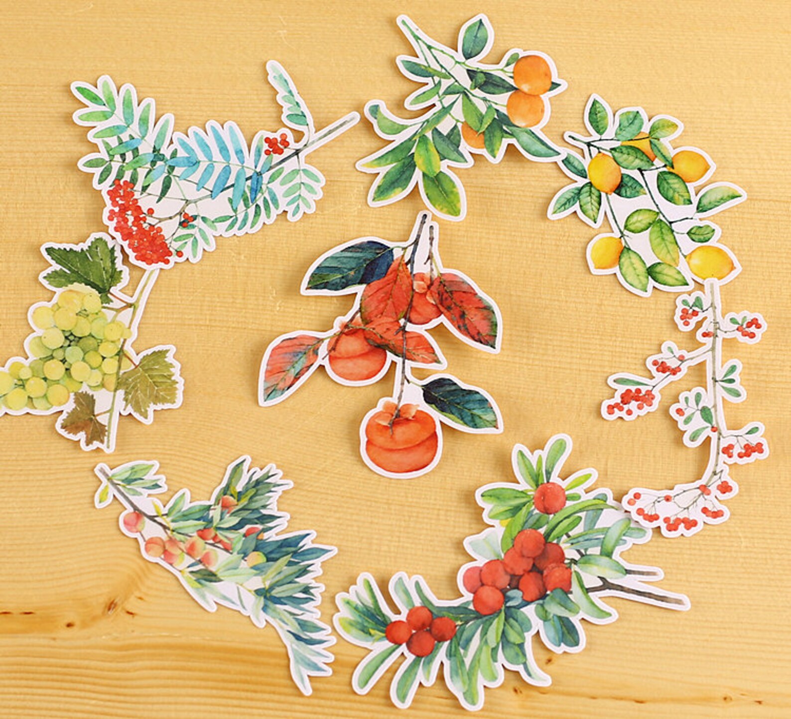 Wild Berries Stickers Pack, Botanical, Plant Sticker Pack, Blueberry ...