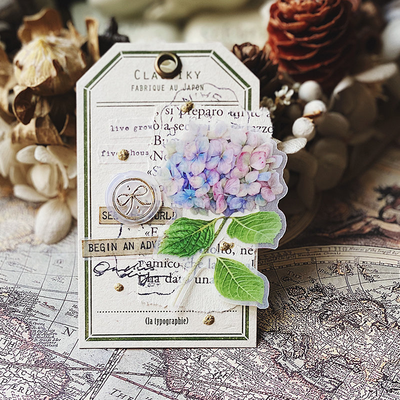 55PCS Natural Science Illustration Stickers Pack C | Etsy