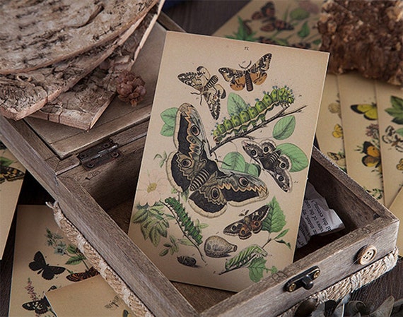 Botanical Decoupage Paper Translucent Background Sticker | Etsy