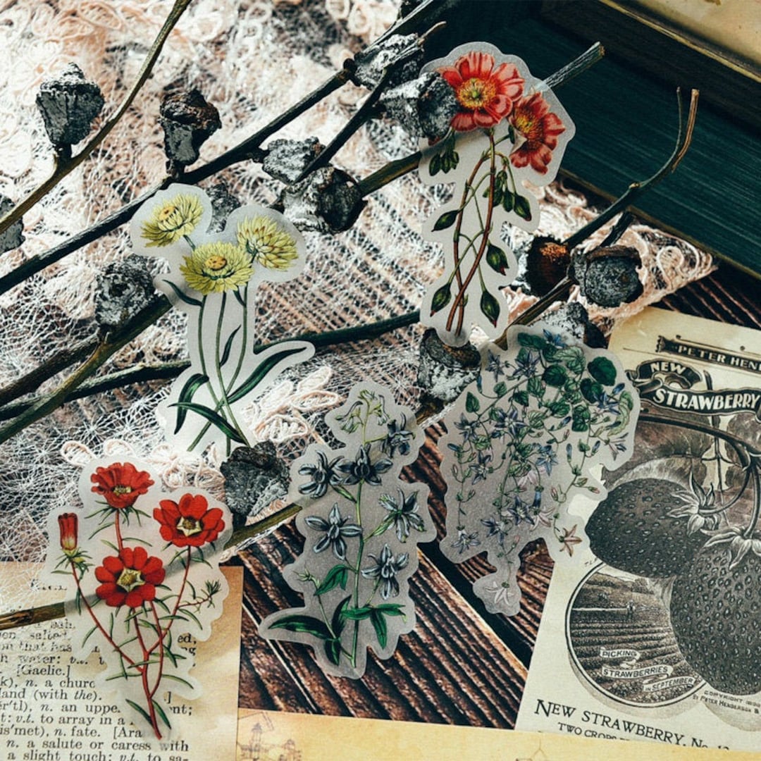 32PCS Natural Science Illustration Stickers Pack D, Translucent ...