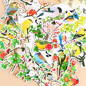 Birds Sticker Pack, Songbird Bird Stickers, Ephemera, Animals Die-cut ...